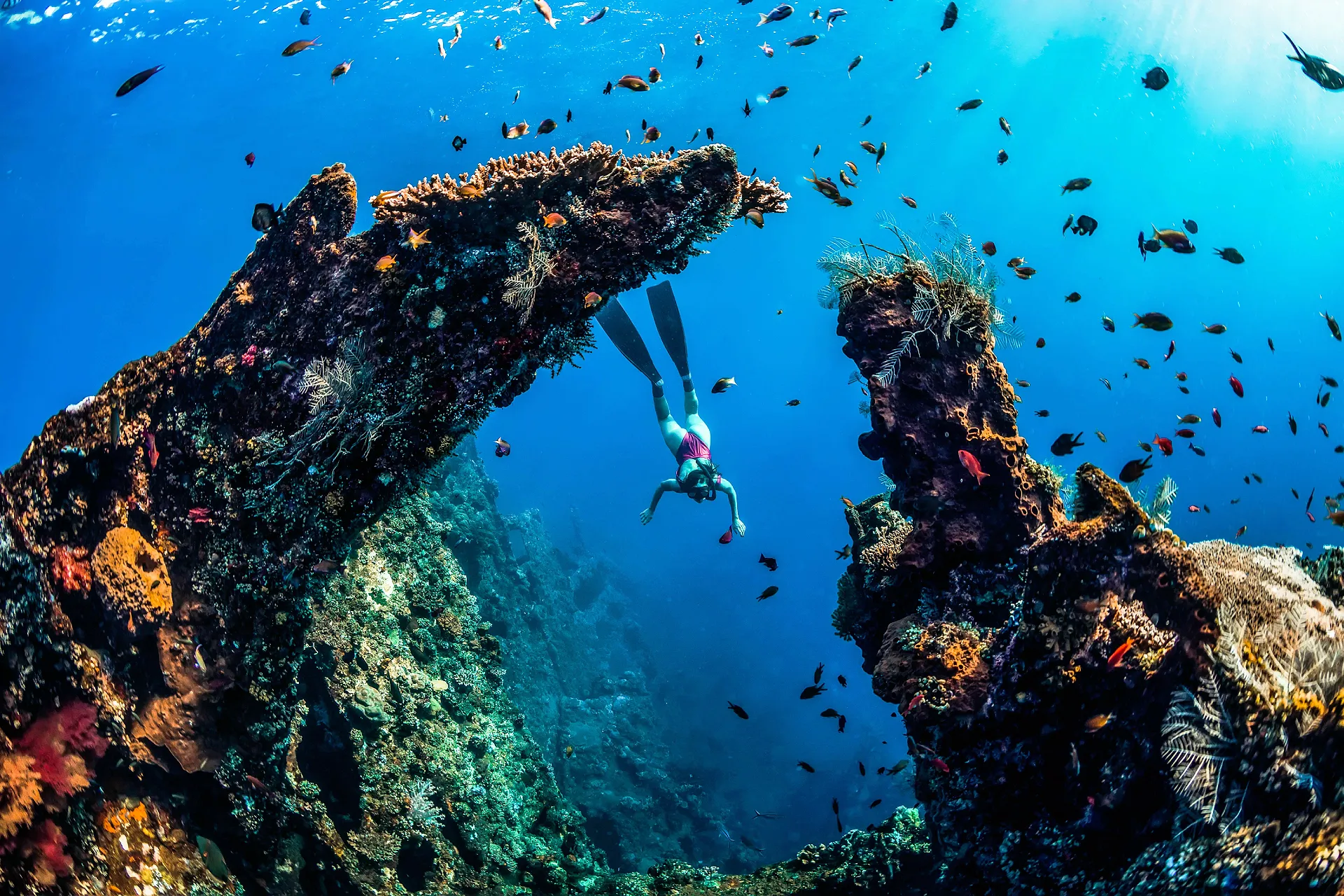 Amed Best Snorkeling Spots: Discover Bali’s Hidden Underwater Paradise